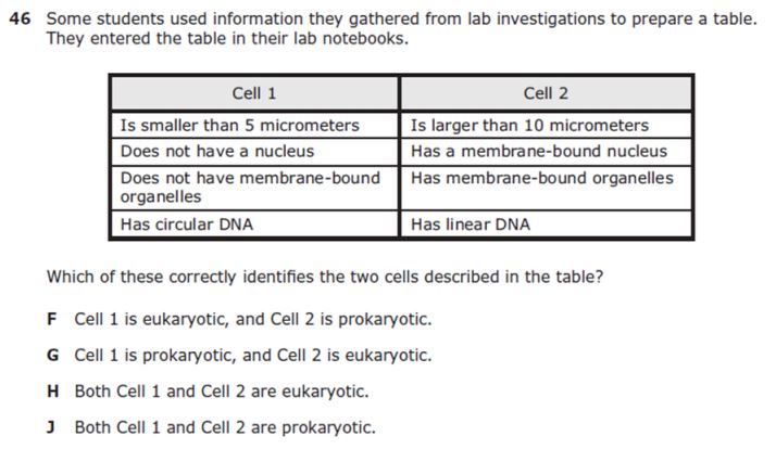 Staar Biology May 2021 Released Answer Key Judithcahen Answer Key For